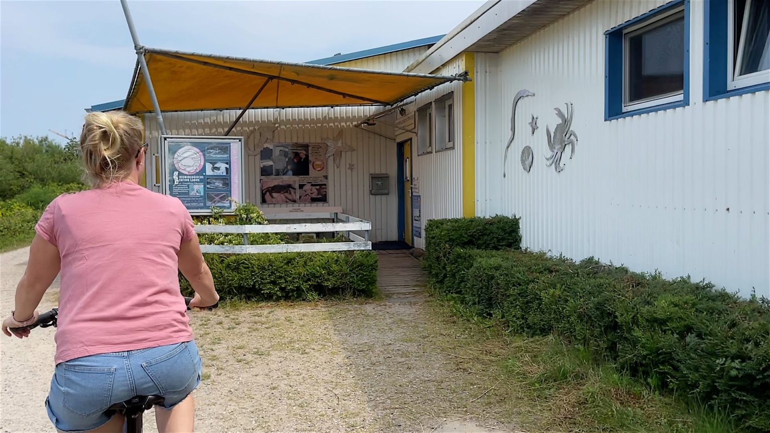 Ostsee Camping mit Hund - 10 Tage entlang der deutschen Küste