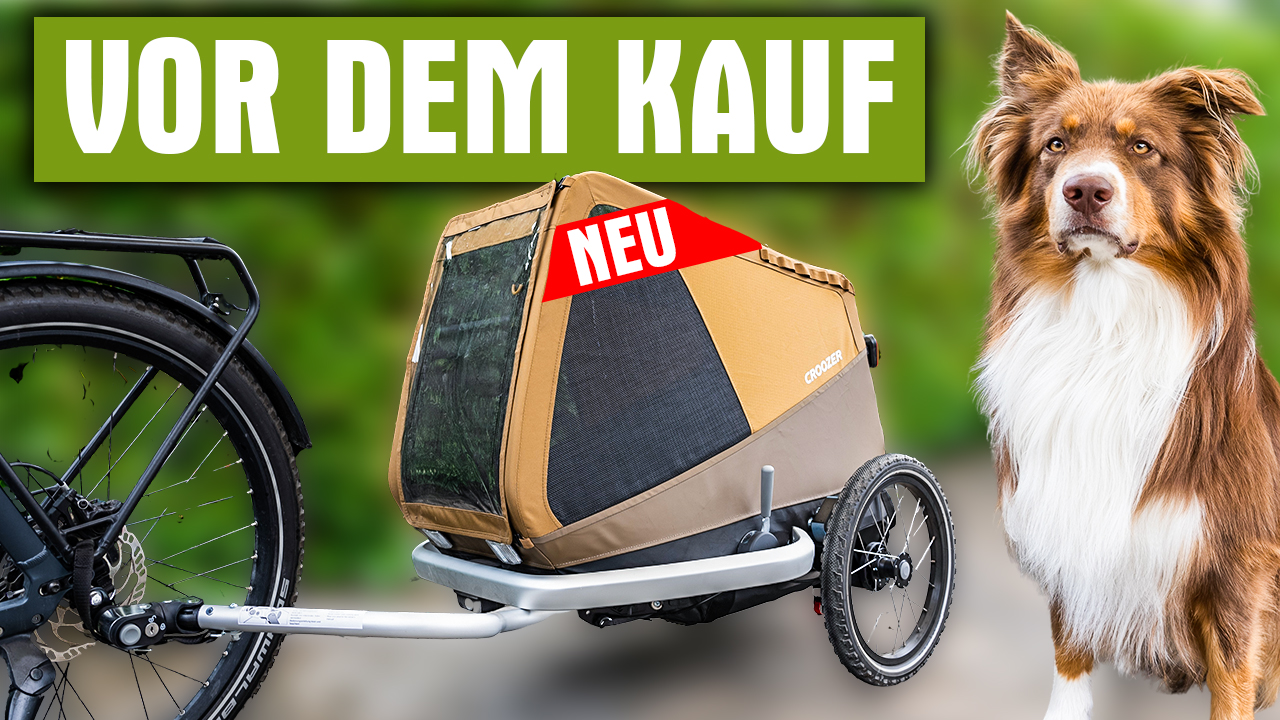 Croozer Dog Enna - 1074 KM Test und Erfahrungsbericht